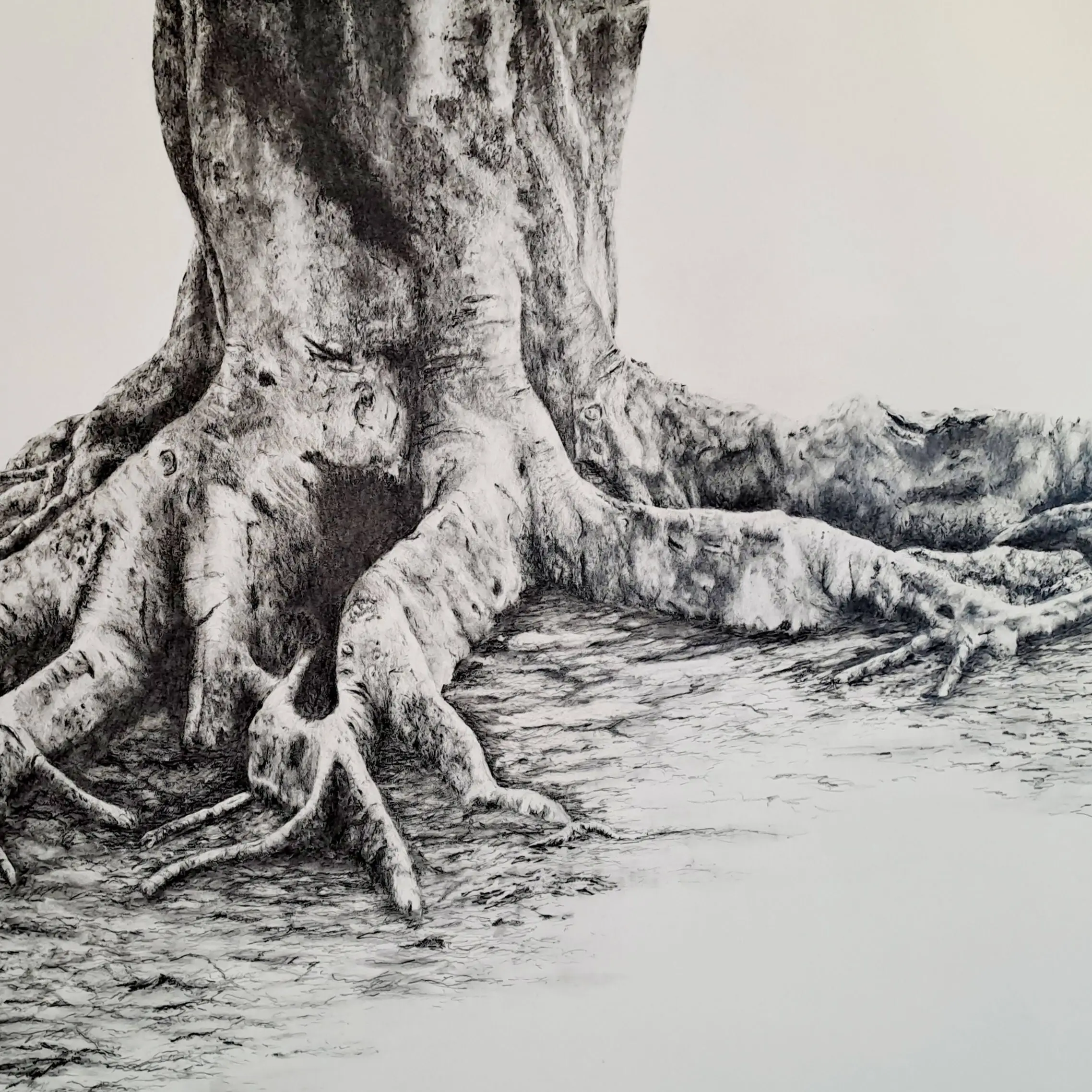 VAS Edward Heffernan Drawing Exhibition 2023