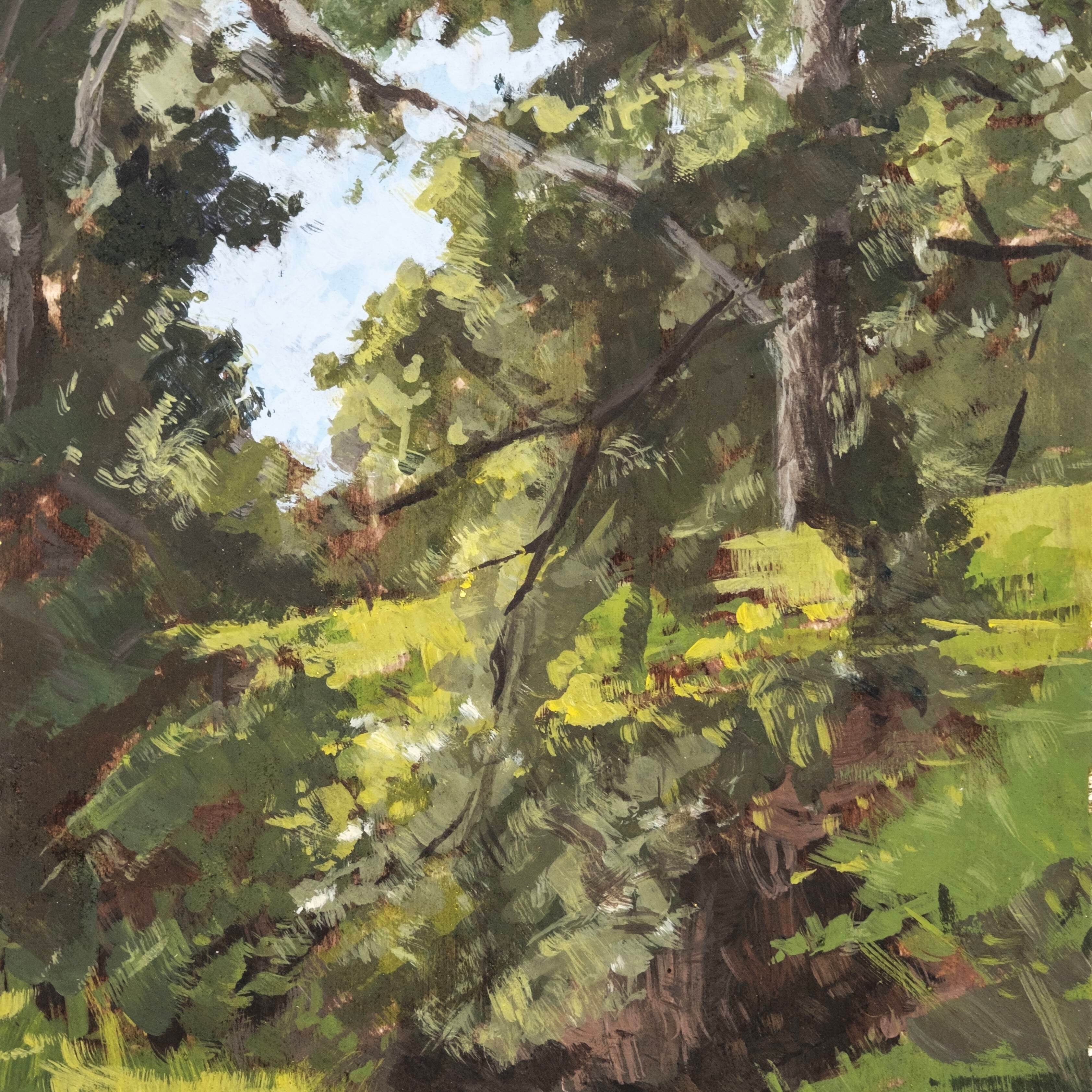 VAS 9x5 Exhibition 2024