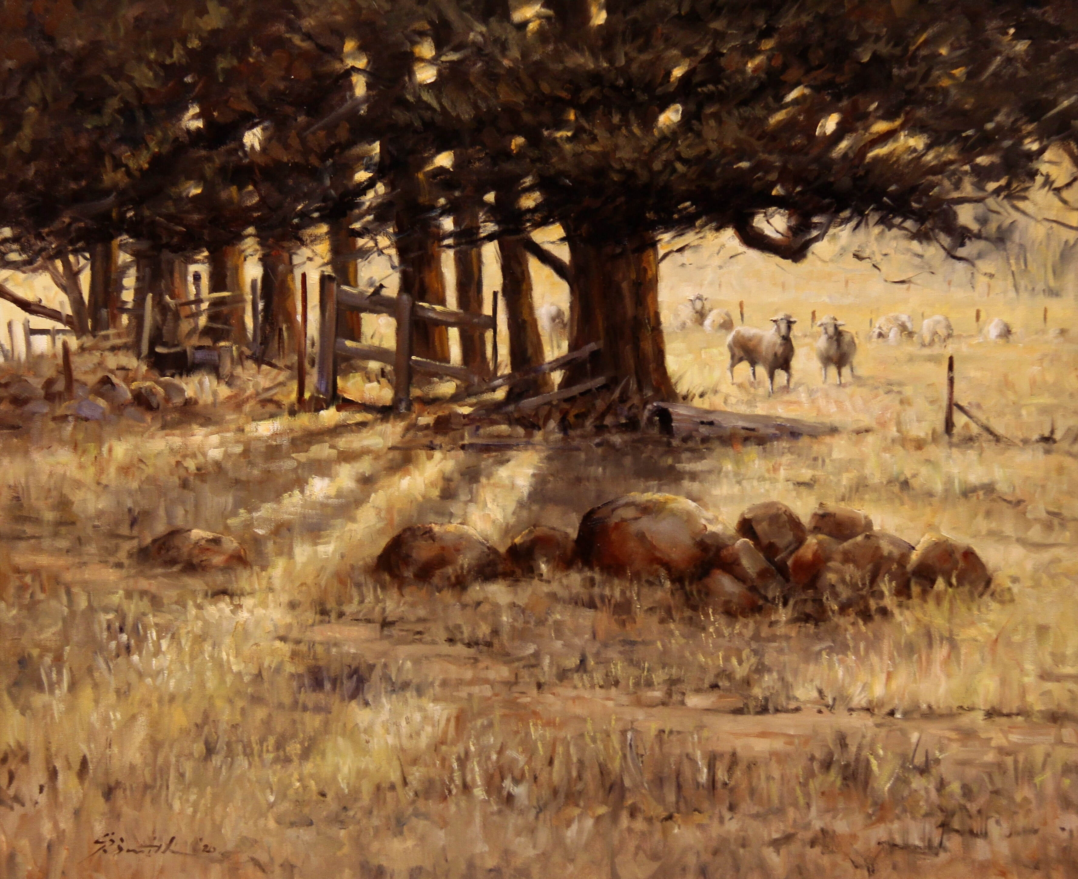 Summer's Dawn through the Cypress