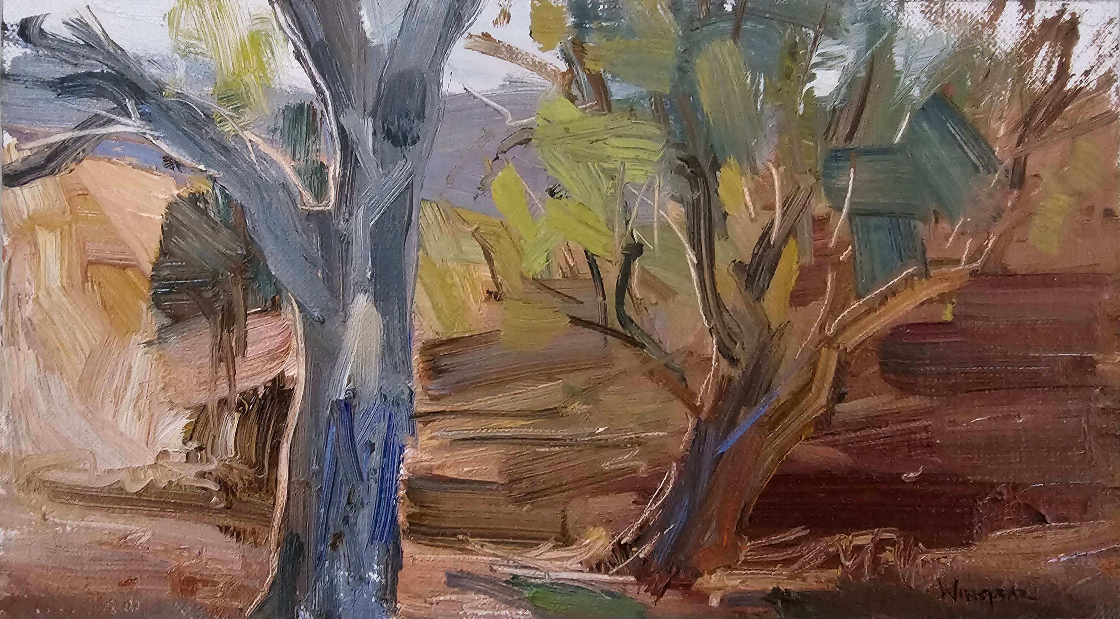 Flinders Ranges moonrise.