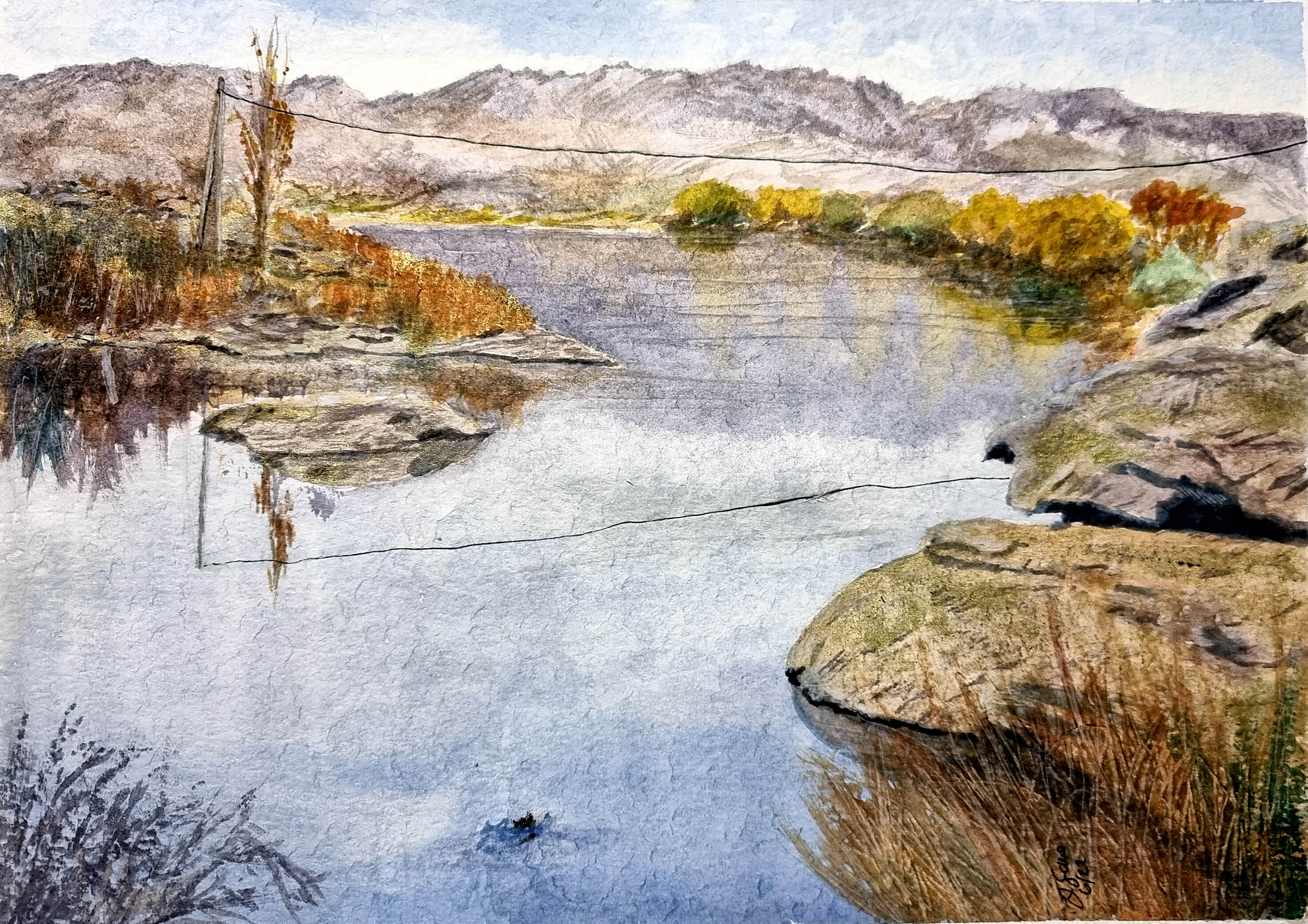 Browse and Buy Artworks from our online Gallery