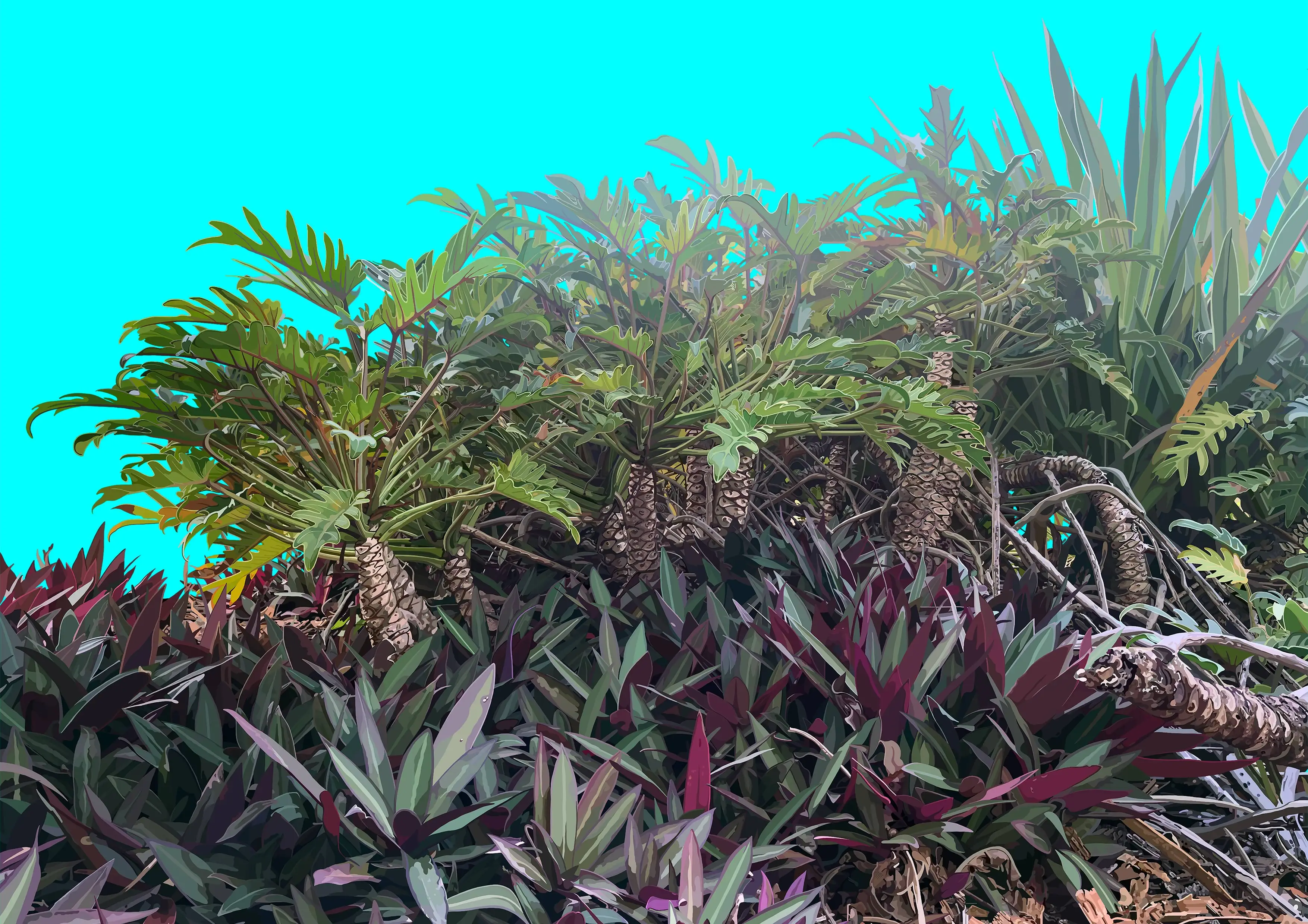 Tropical Paradise