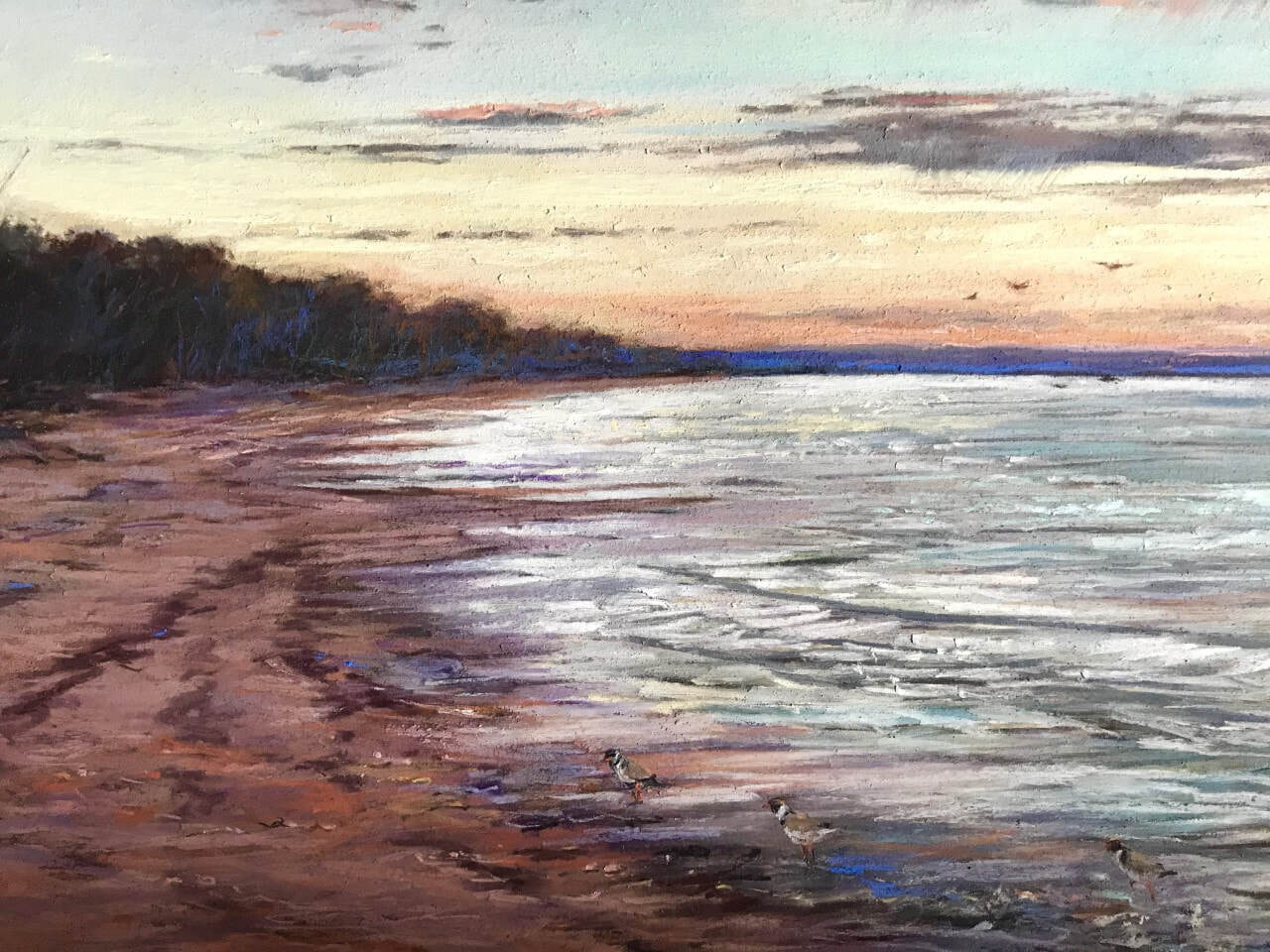 Plovers at sunset, Silverleaves Beach, Phillip Island