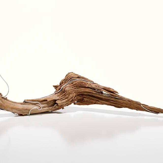 VAS George Hicks Foundation Contemporary Exhibition 2023