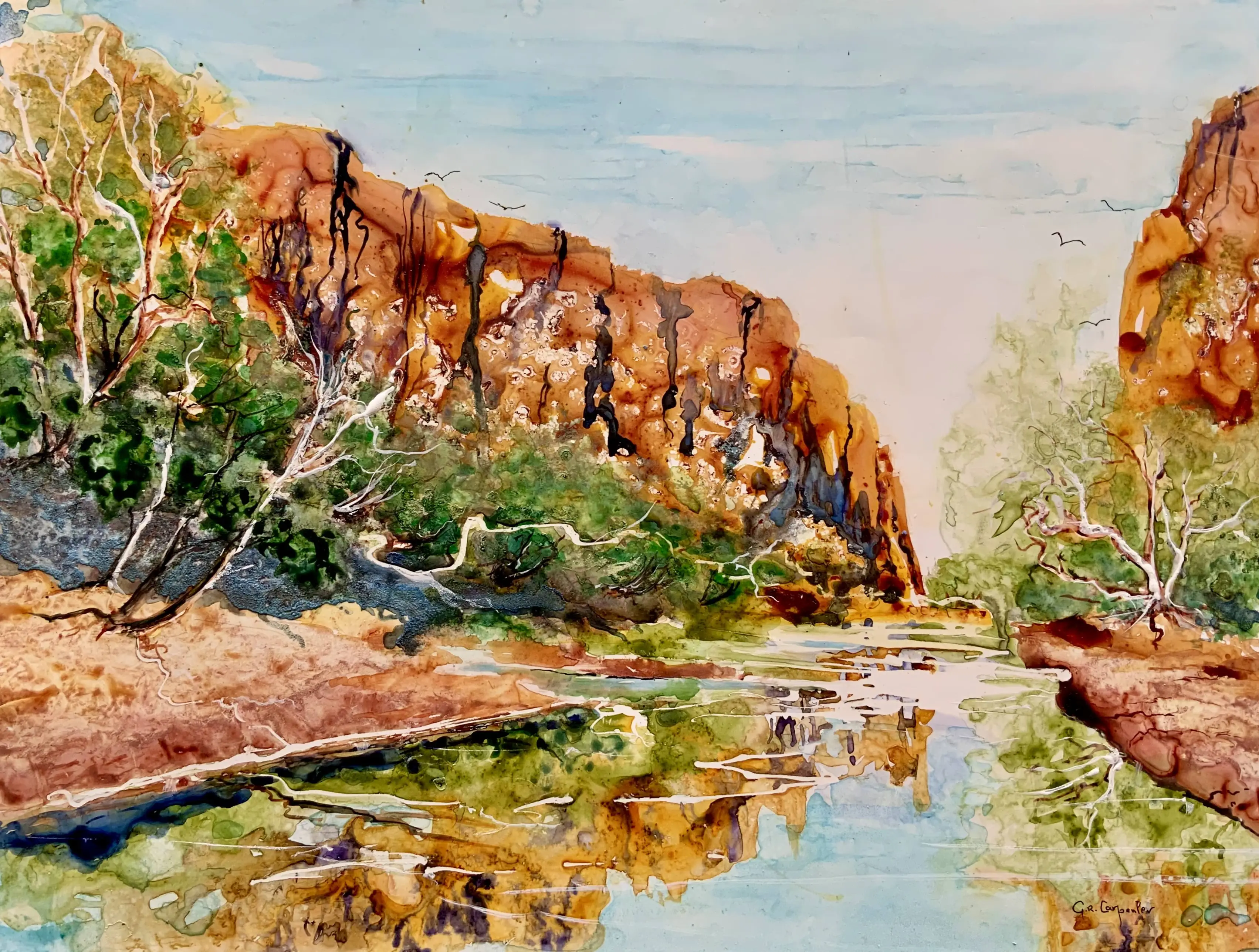 Revisiting Wurundjeri Gorge
