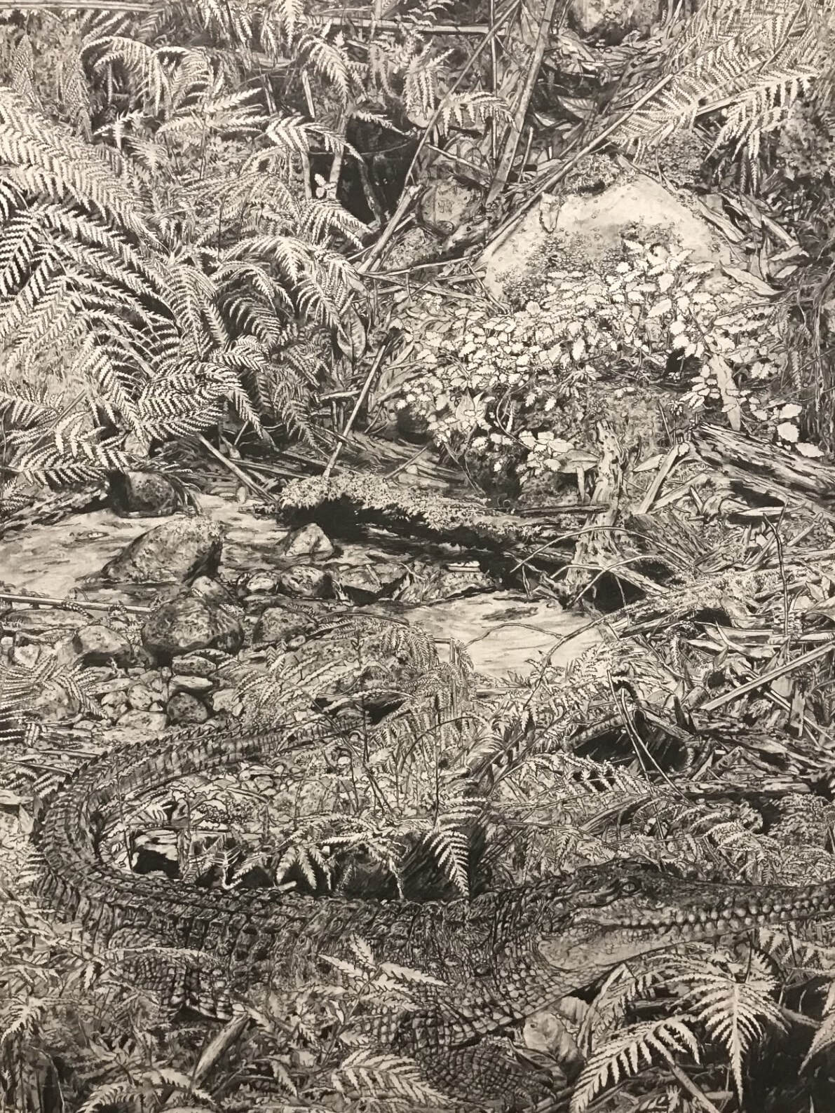 VAS DRAWING AWARD EXHIBITION