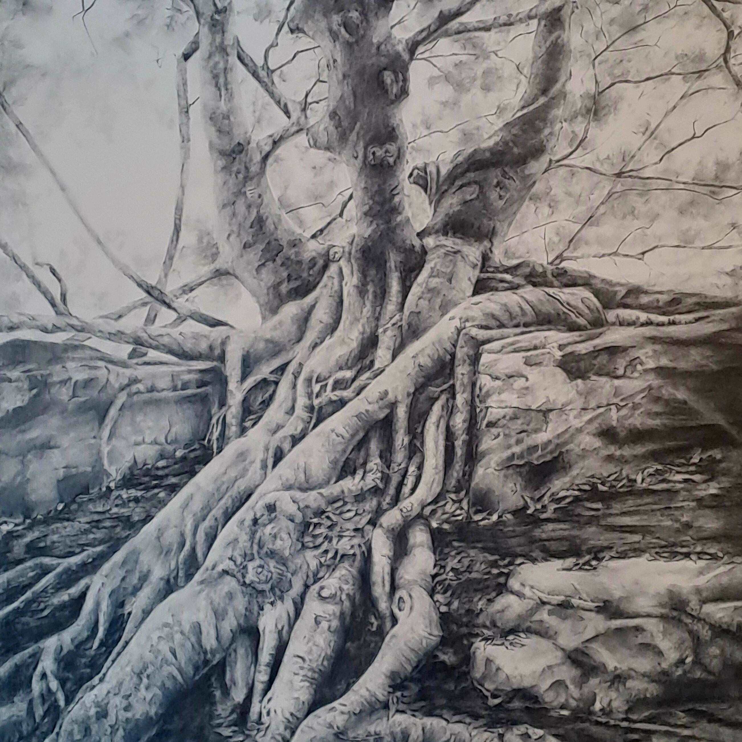 VAS Winter Select Exhibition 2024