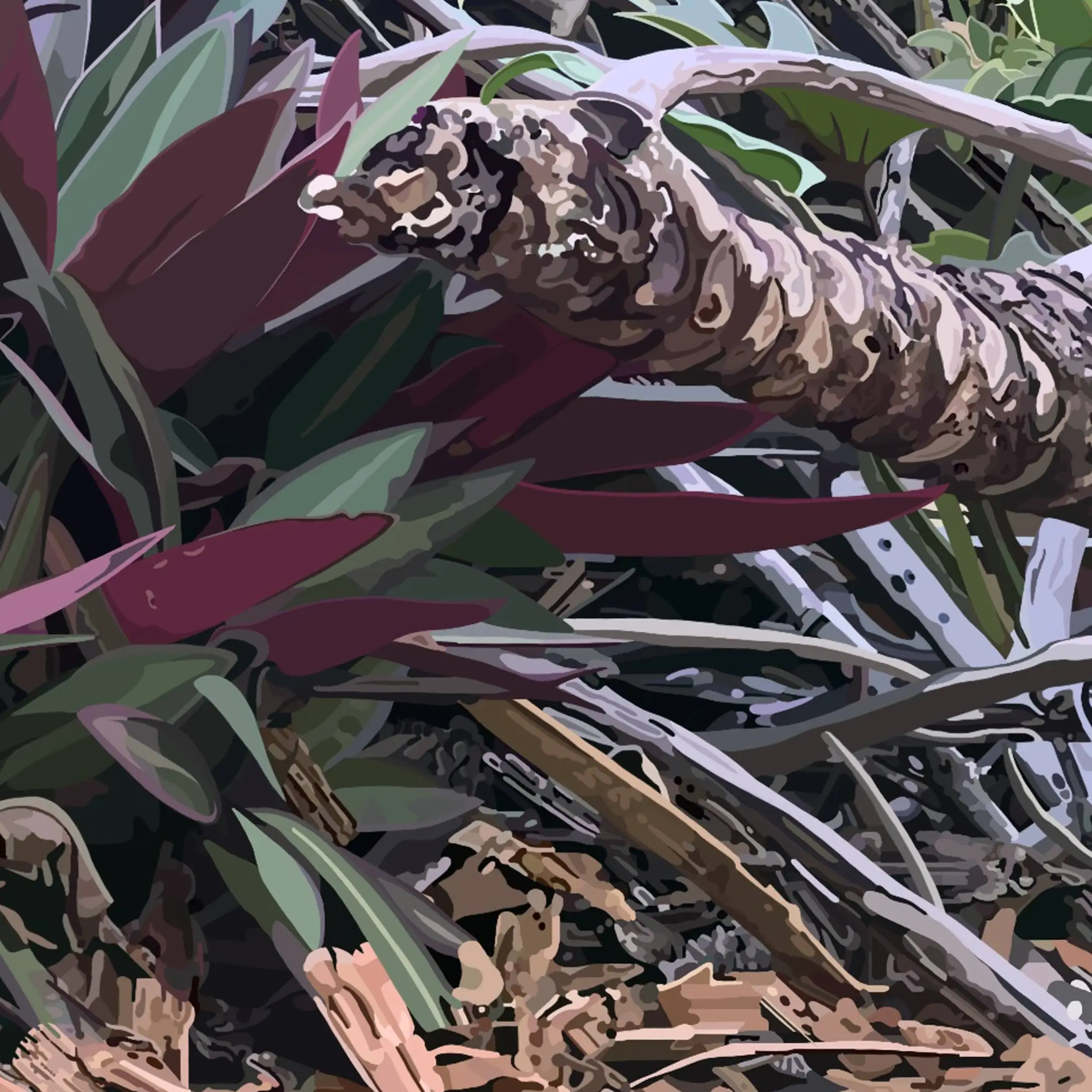 Tropical Paradise Ed2 A2