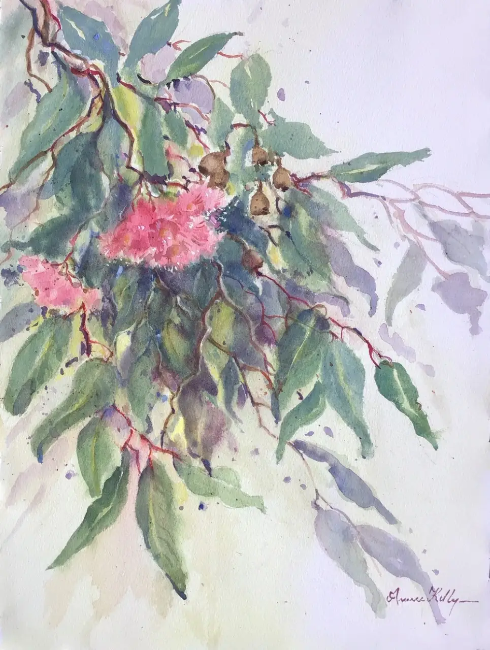 'Flowering Gum', Watercolour By Annee Kelly