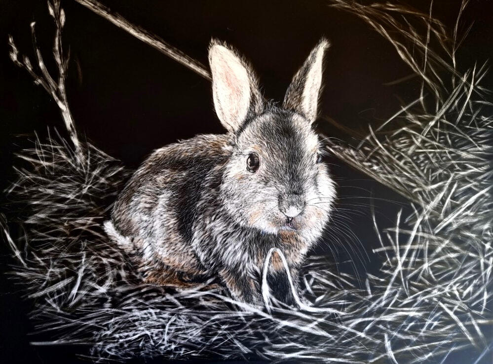 Browse and Buy Artworks from our online Gallery