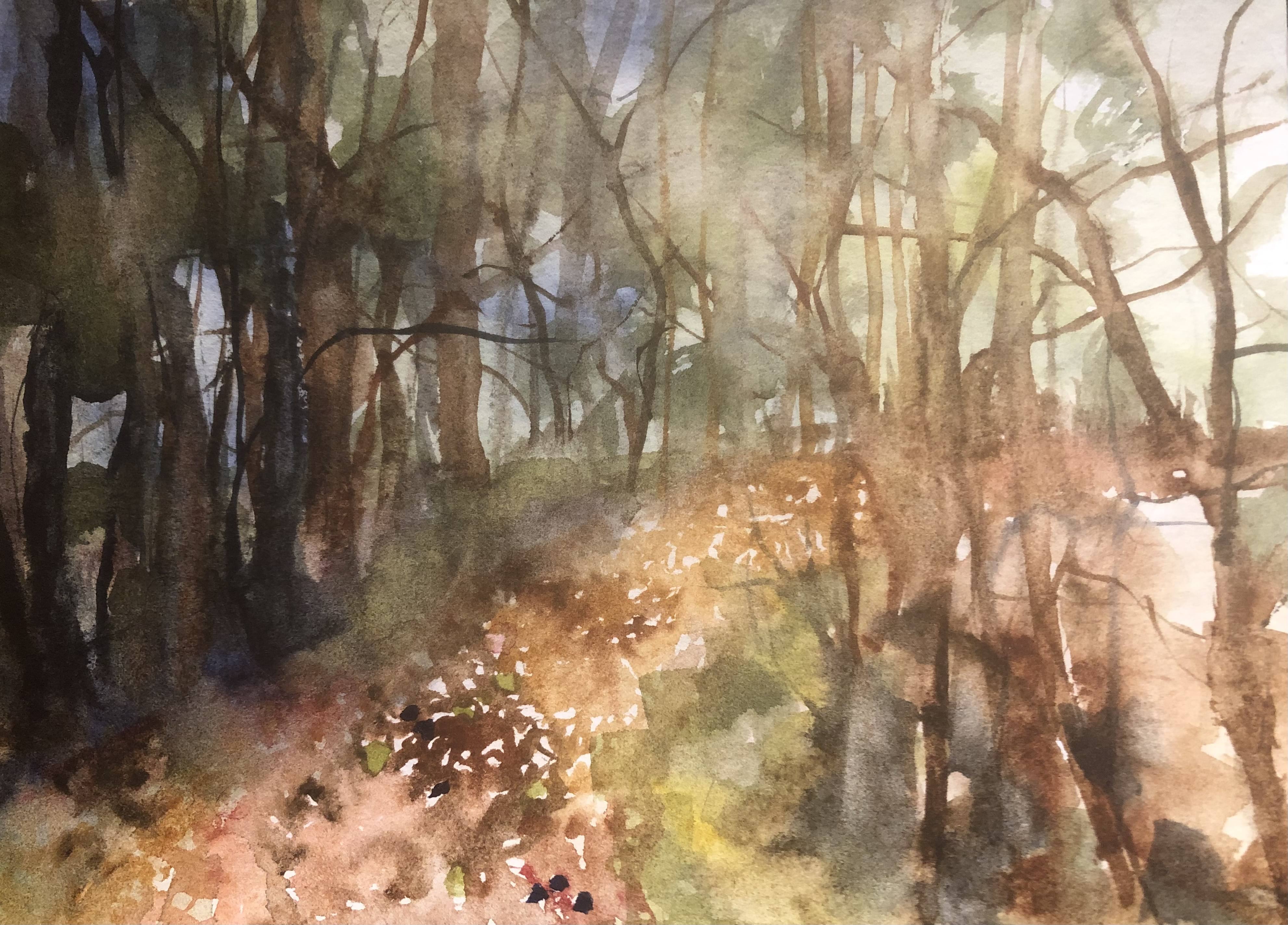 See Beyond the Trees