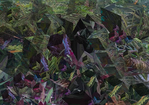 Tropical Vision V3 A1