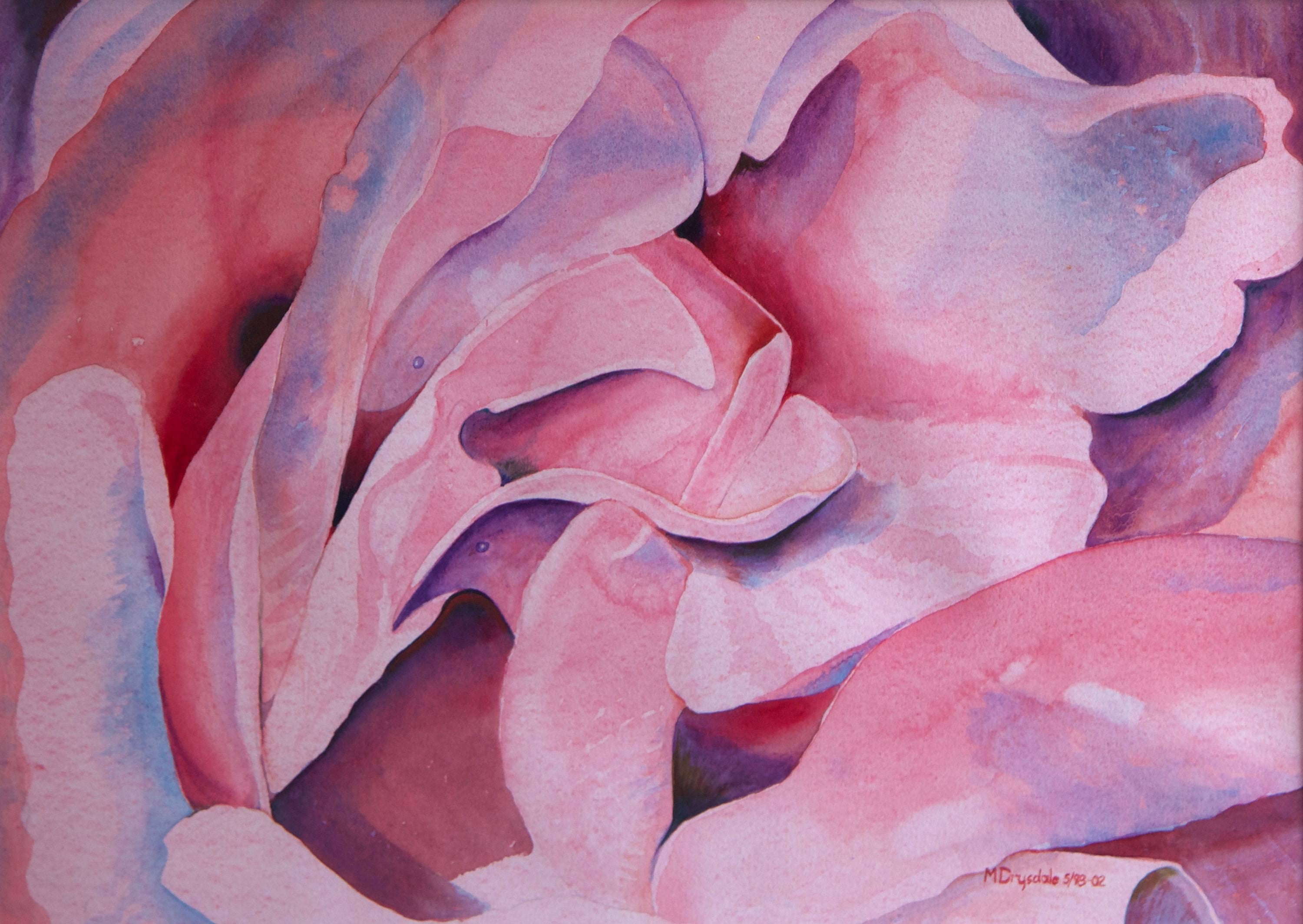Pink Rose Abstract