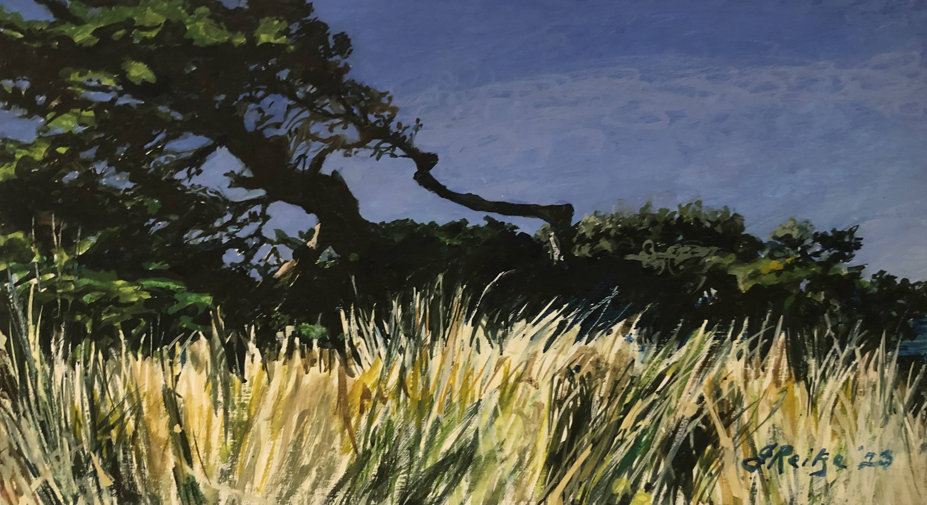 Windswept Trees, Ocean Grove