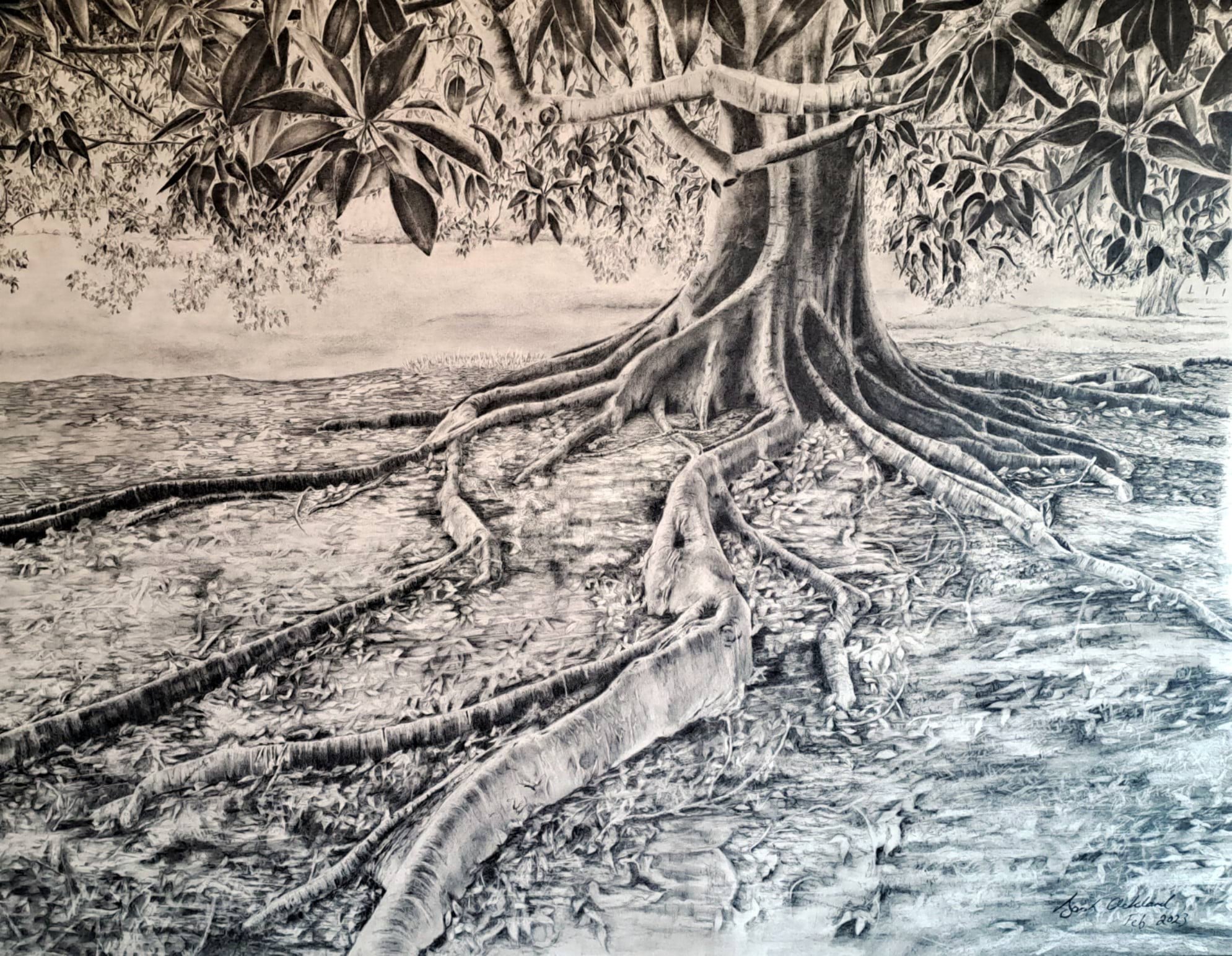 Moreton Bay Fig (2023)