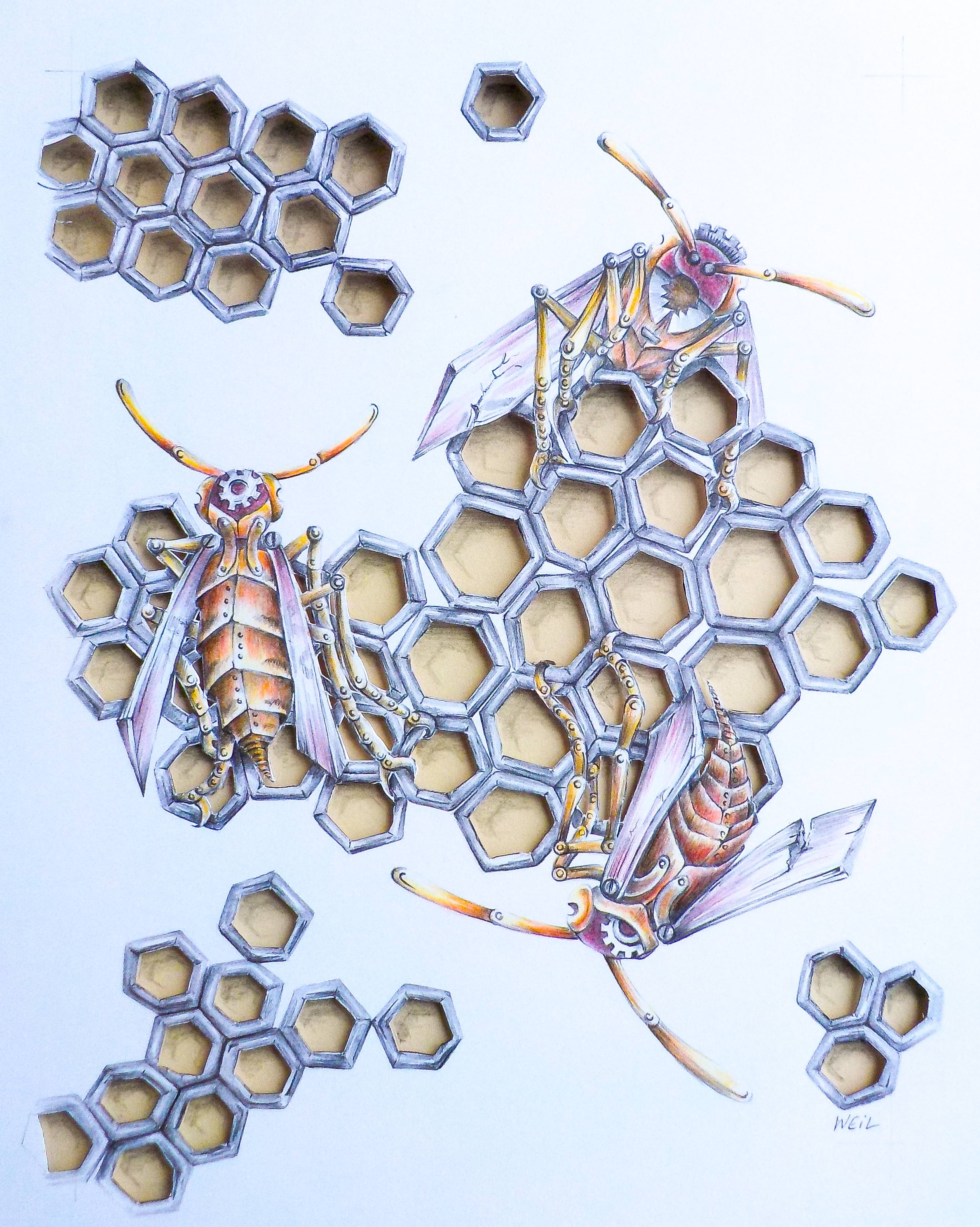 Paper Wasps
