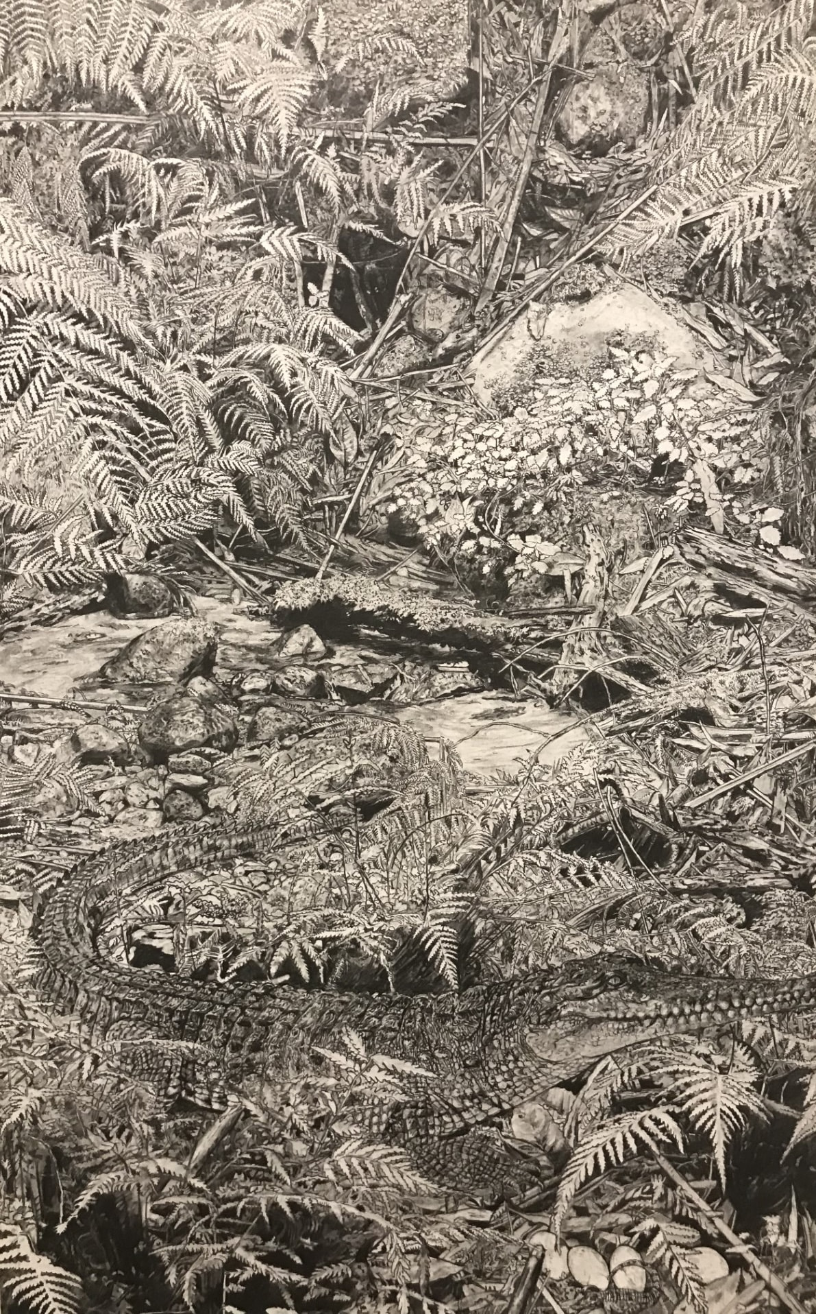 VAS Edward Heffernan Drawing Exhibition 2023