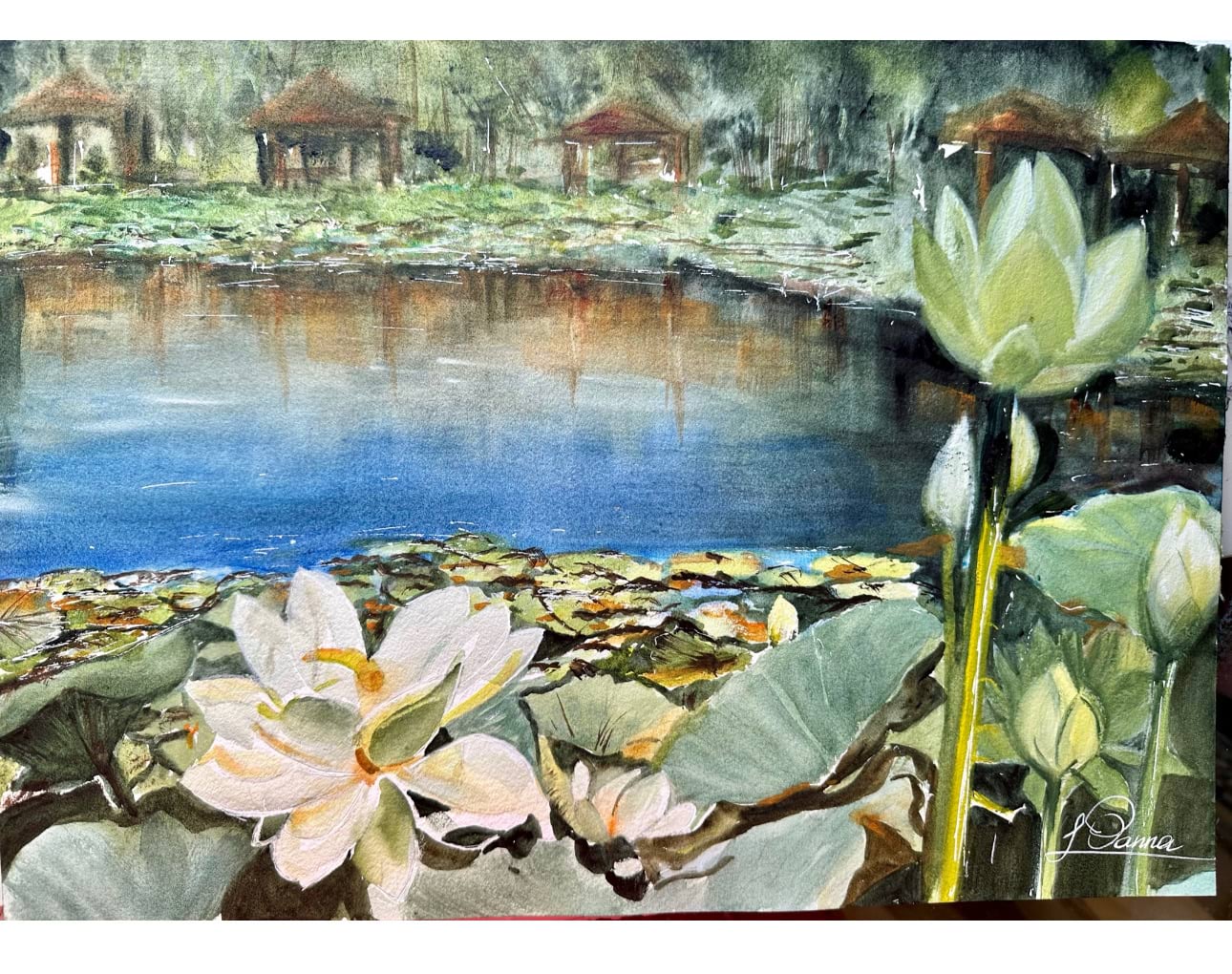 Blue Lotus Gardens