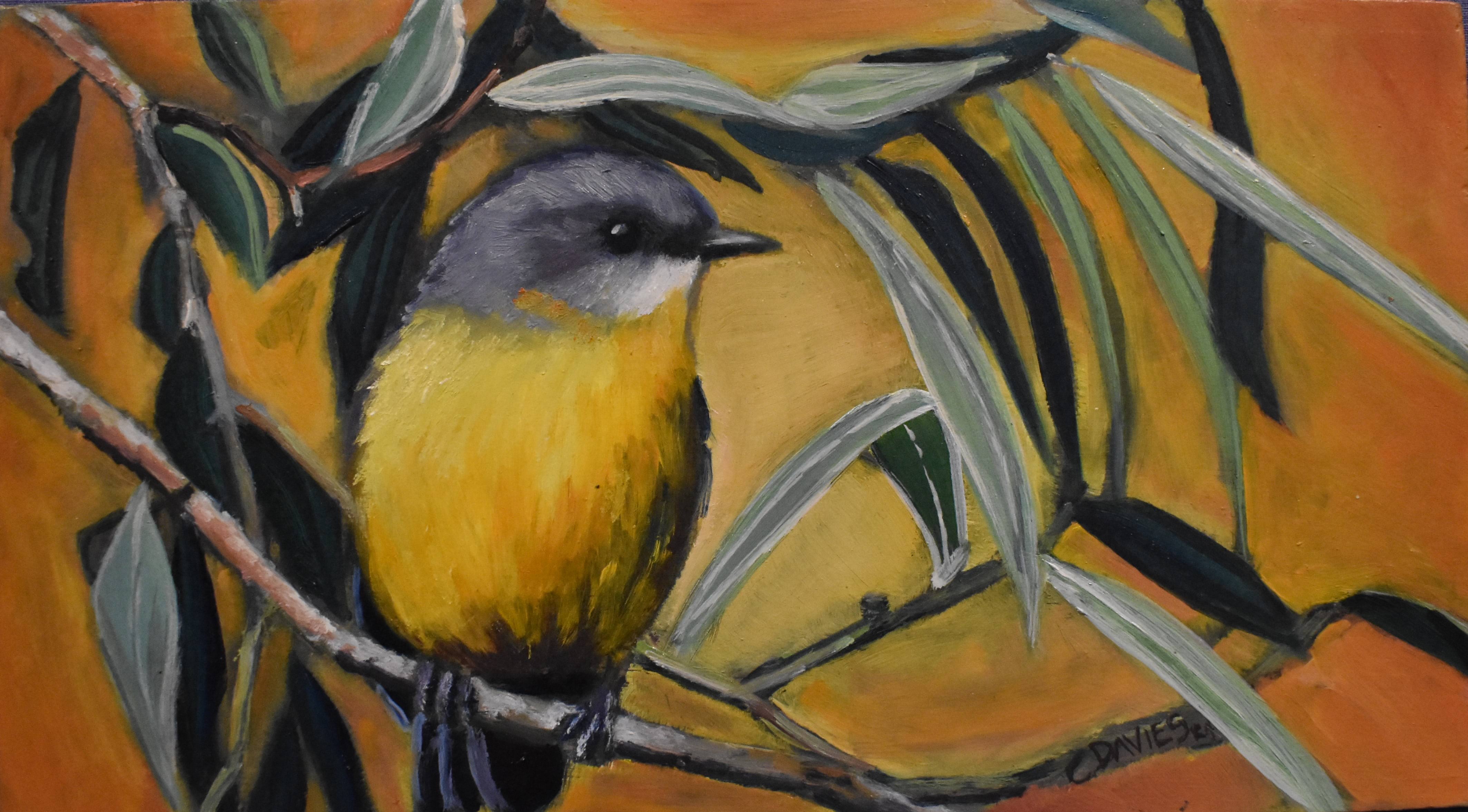 Eastern Yellow Robin