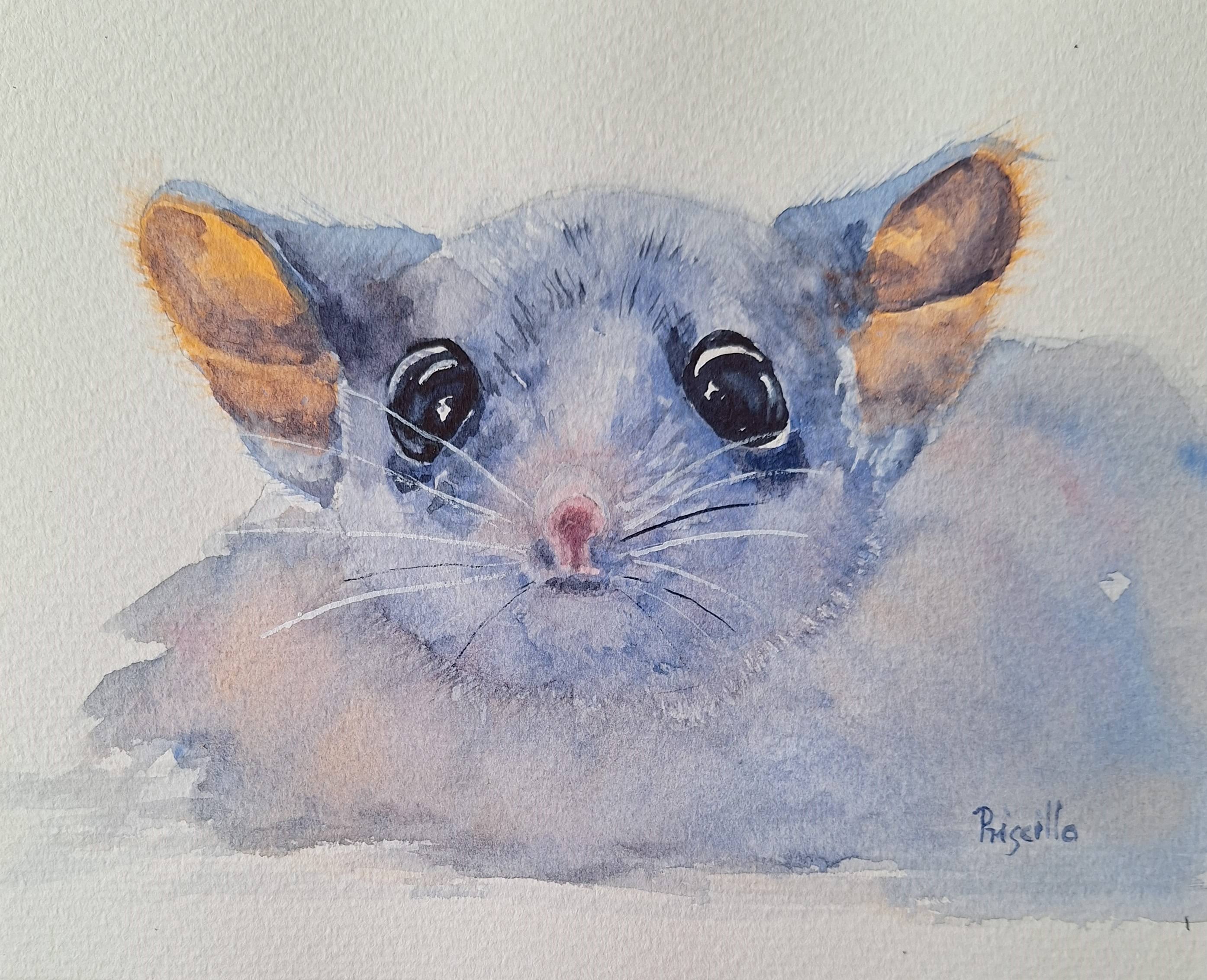 Possum