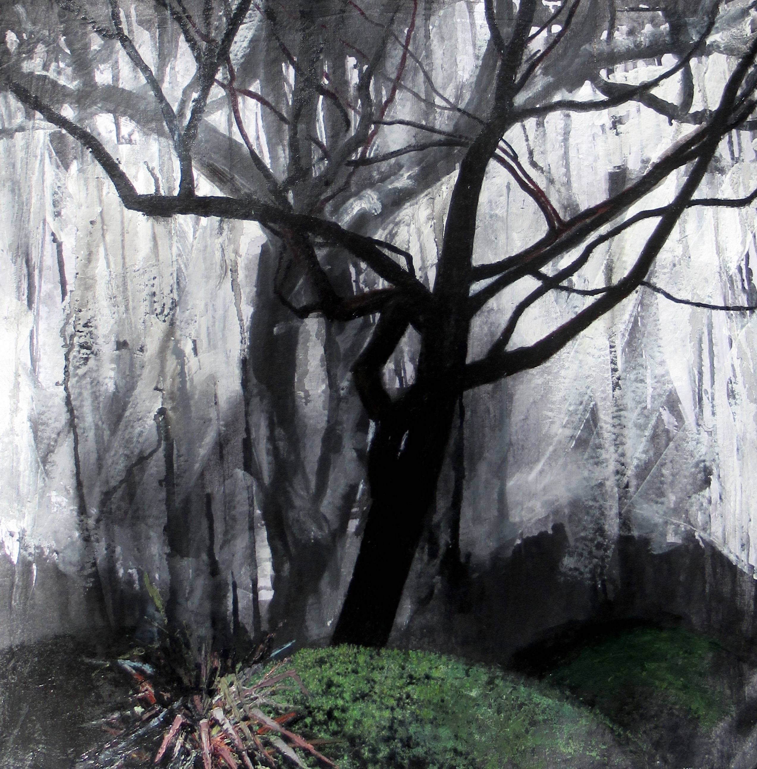 The Eucalyptus Torquata