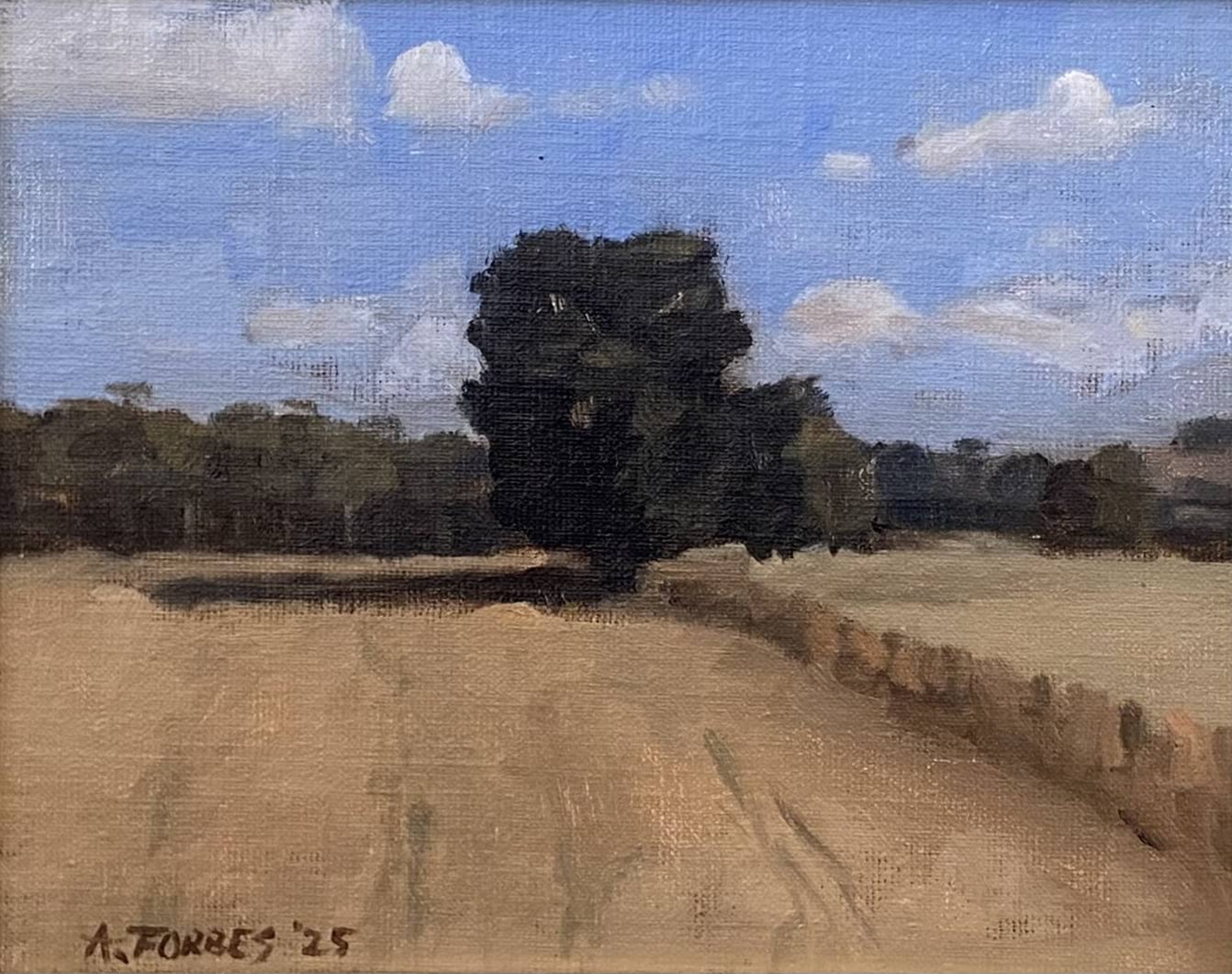 Summer Mornings, Springbank Road