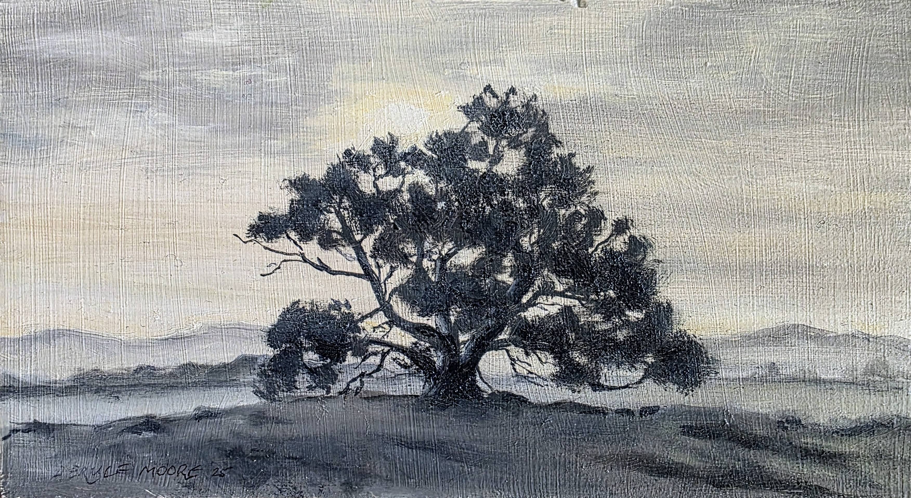 Lucia's Tree