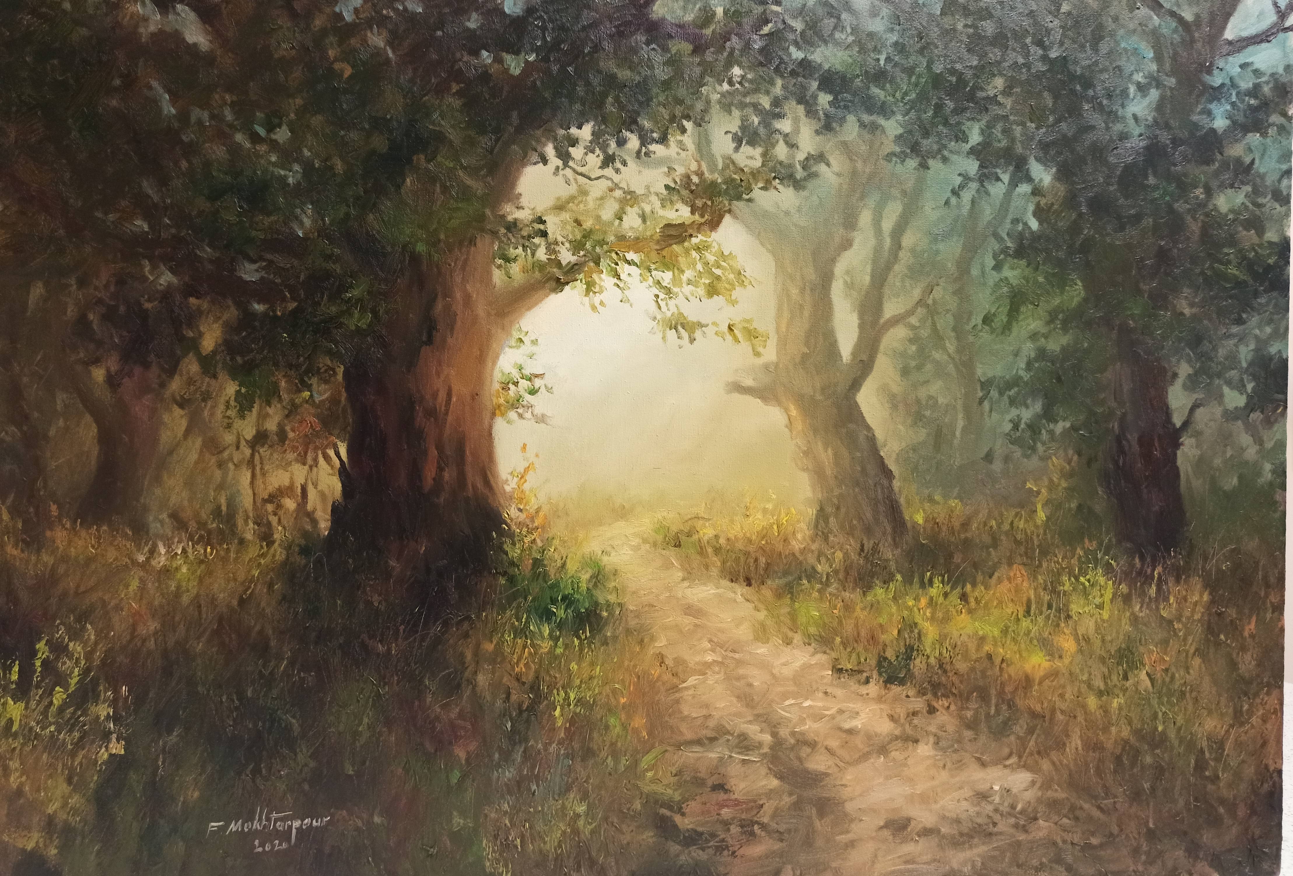 Late Afternoon Light