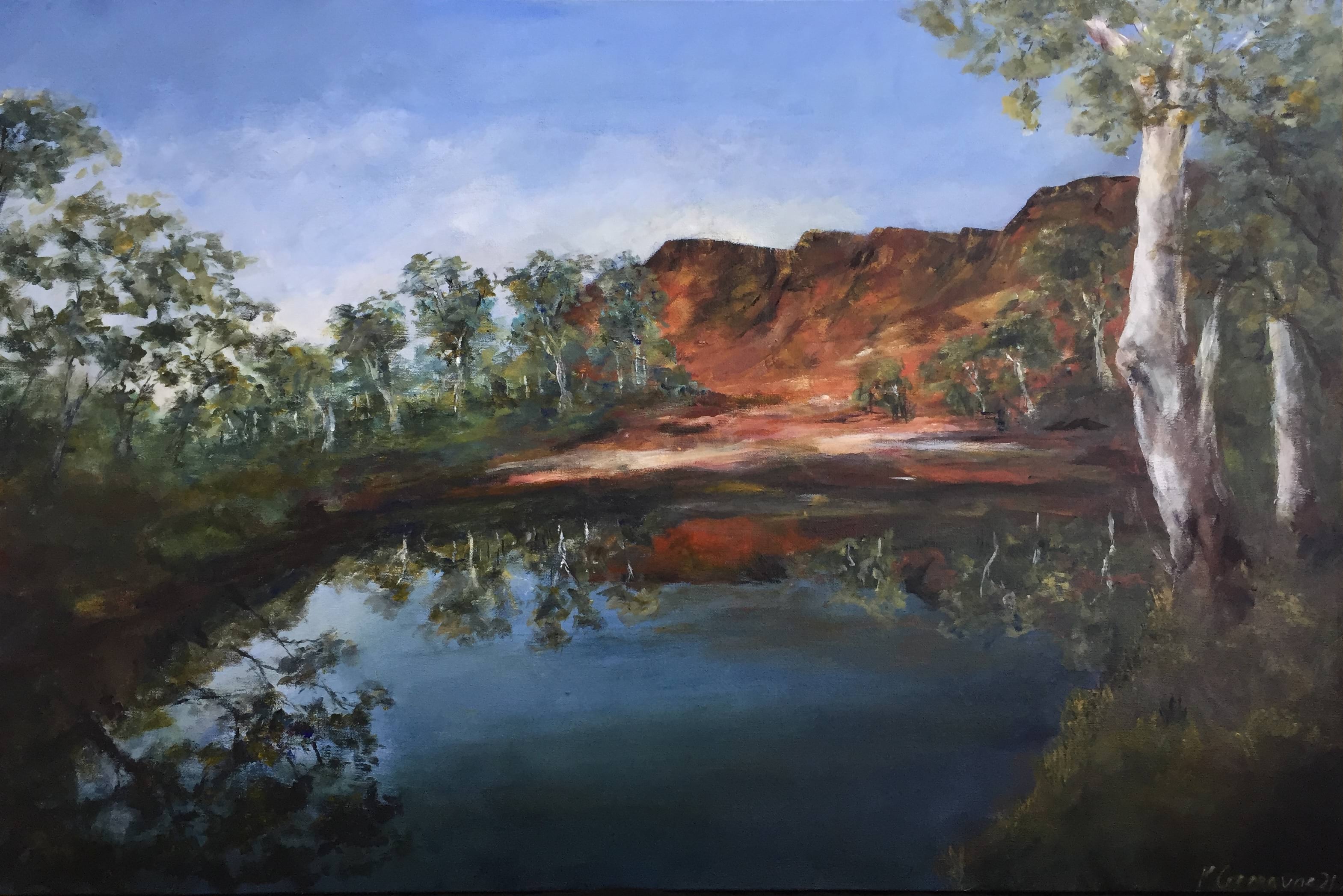 Flinders Ranges Billabong