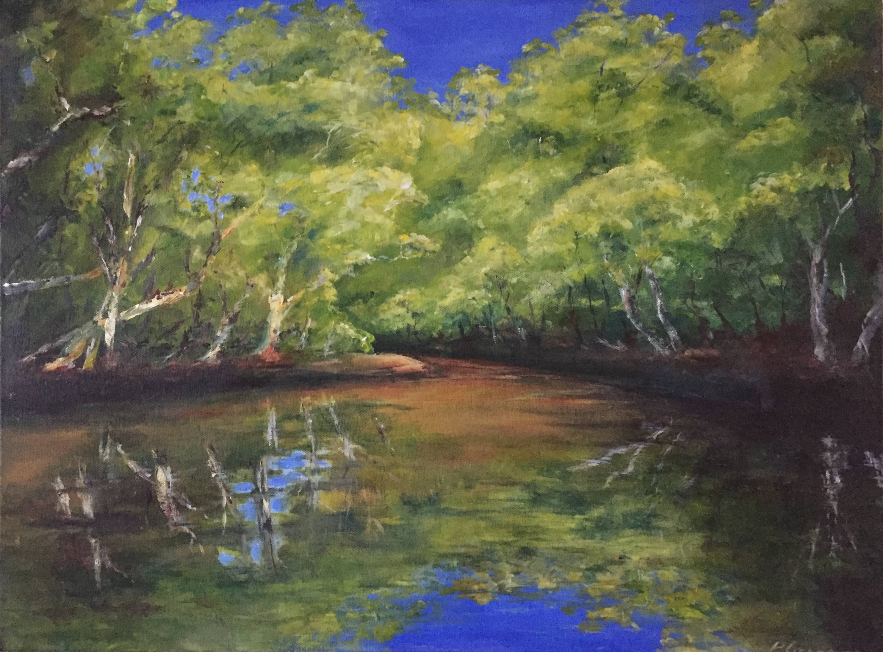 Korovisilu Creek, Serua Fiji
