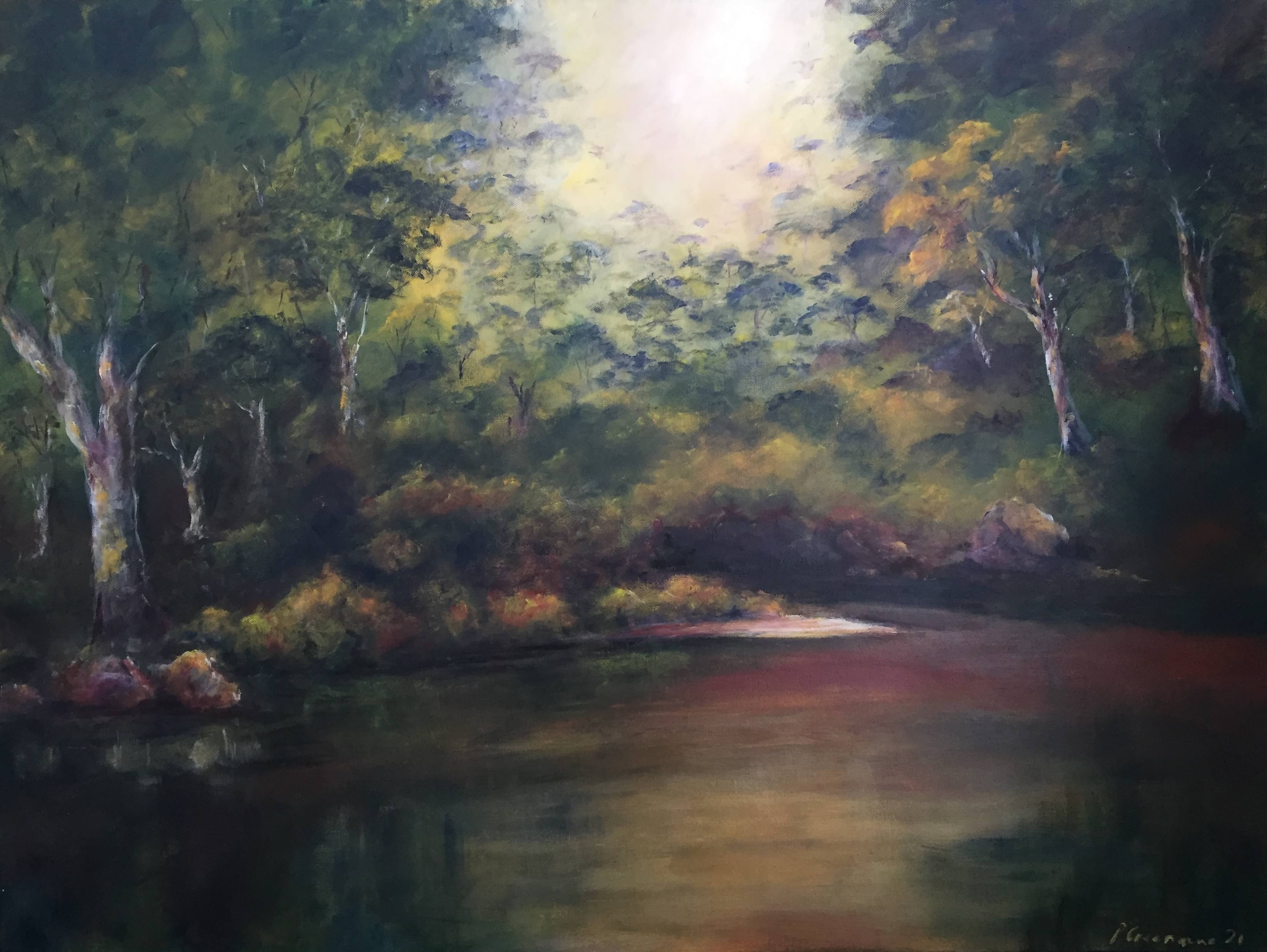 Mid Morning Forest