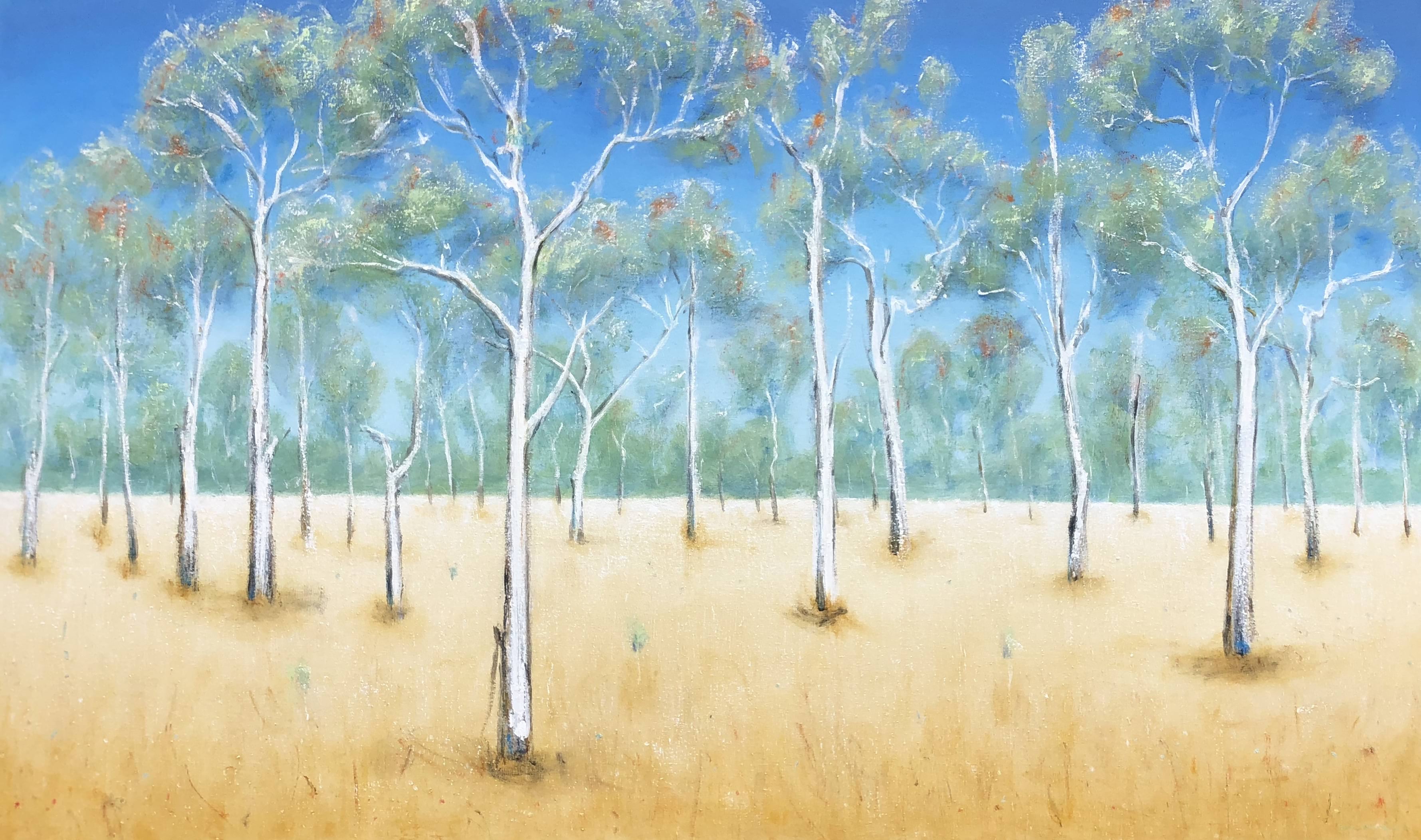 Gum Trees After Rain