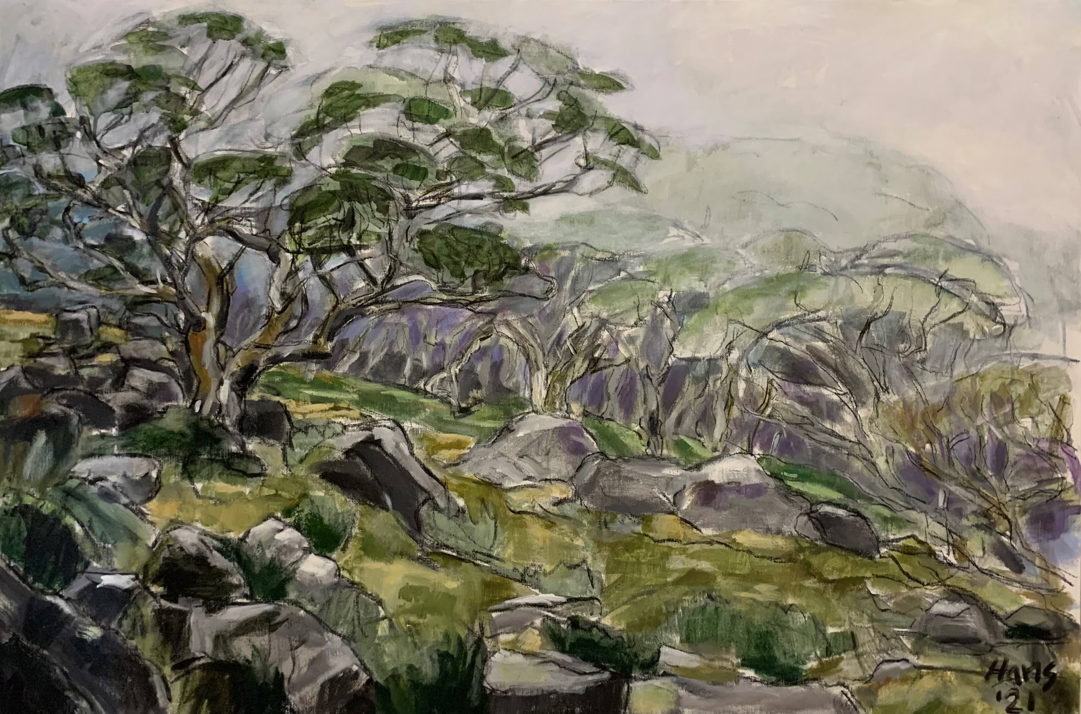 Low Clouds on Mount Howitt