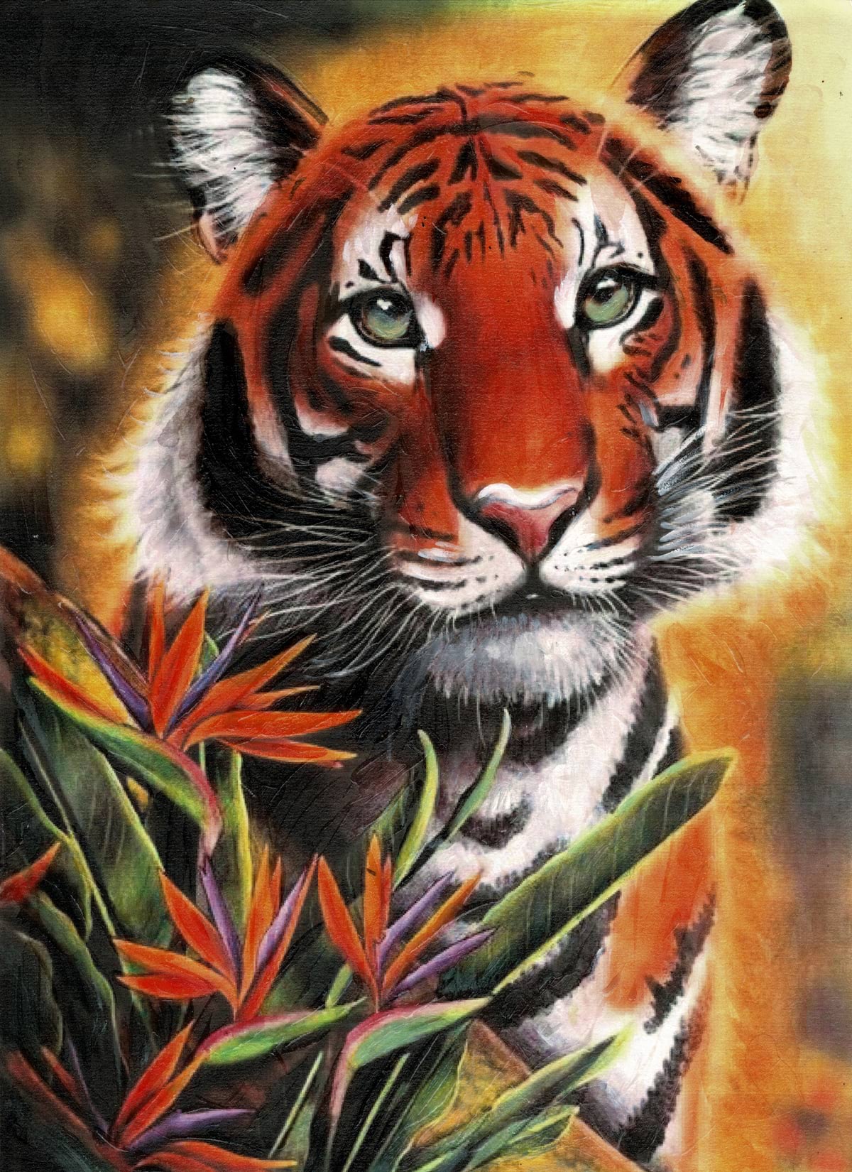 Sir Tiger