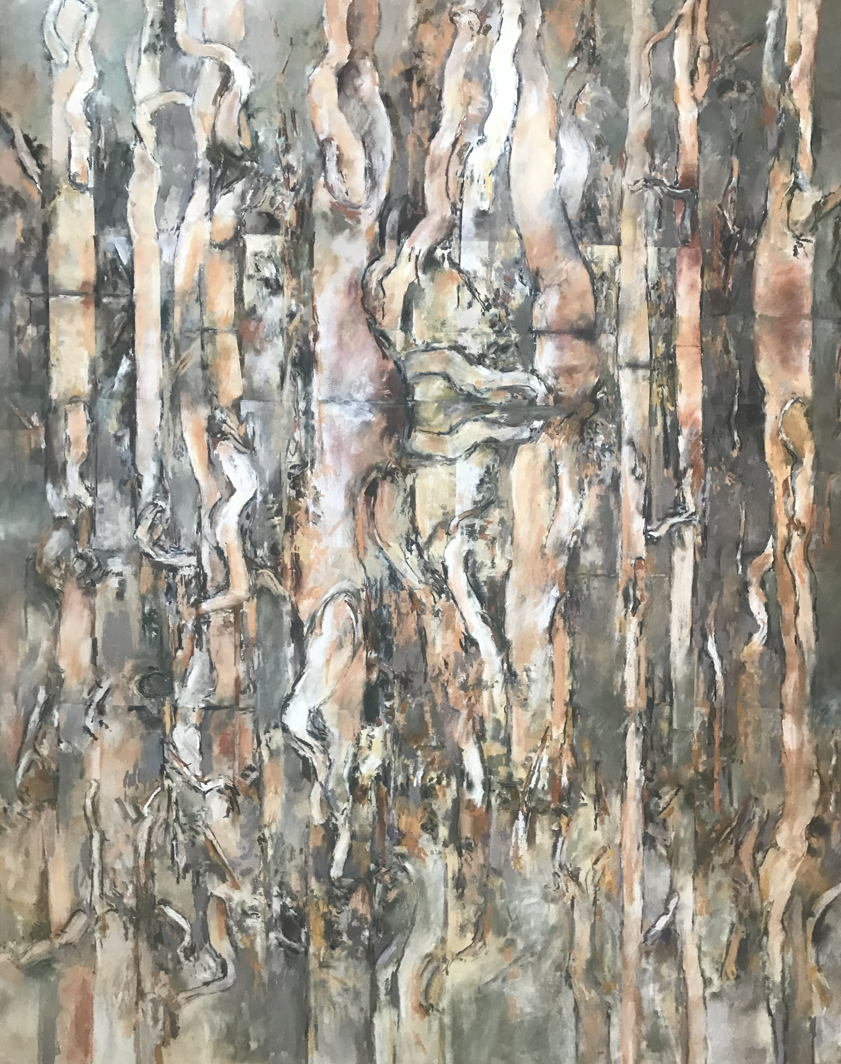 The Barmah Forest Flood—Disorientation